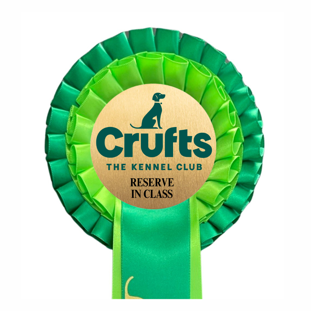 Crufts Reserve In Class | Awardboard Shop
